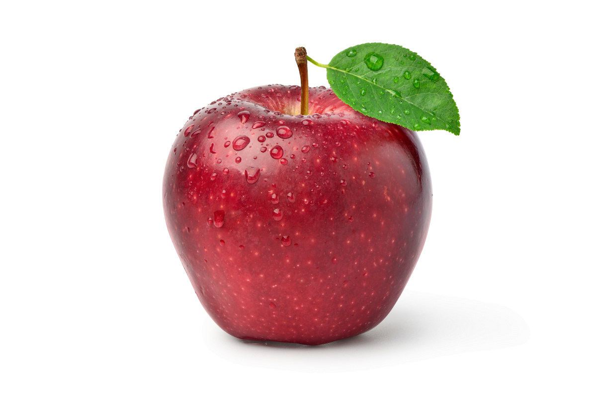 Home - Swartlaagte Farms